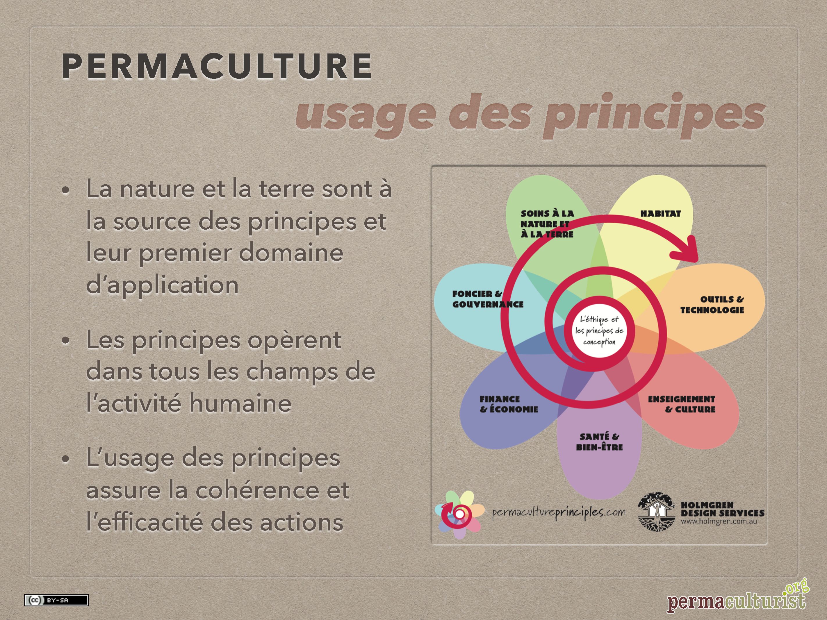 Introduction à la permaculture | permaculturist.org