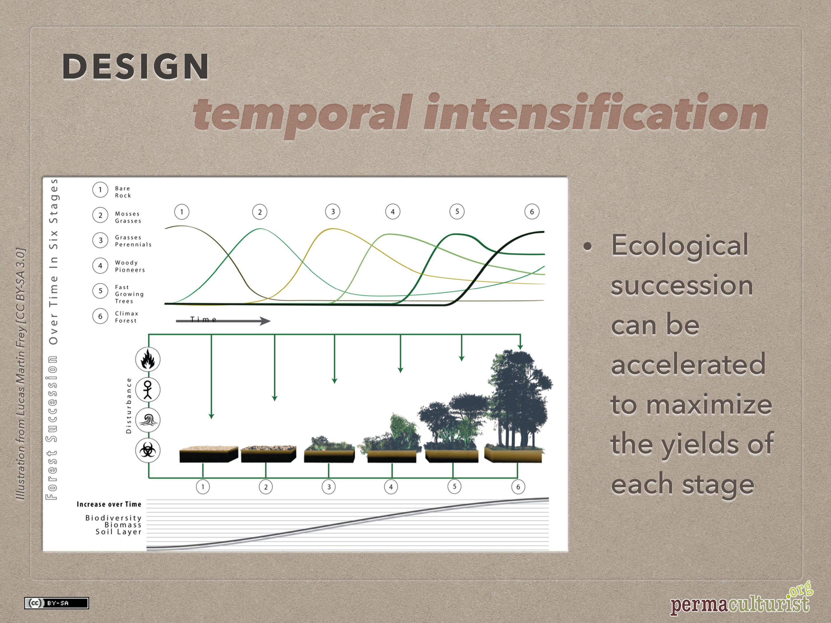 Introduction to permaculture | permaculturist.org