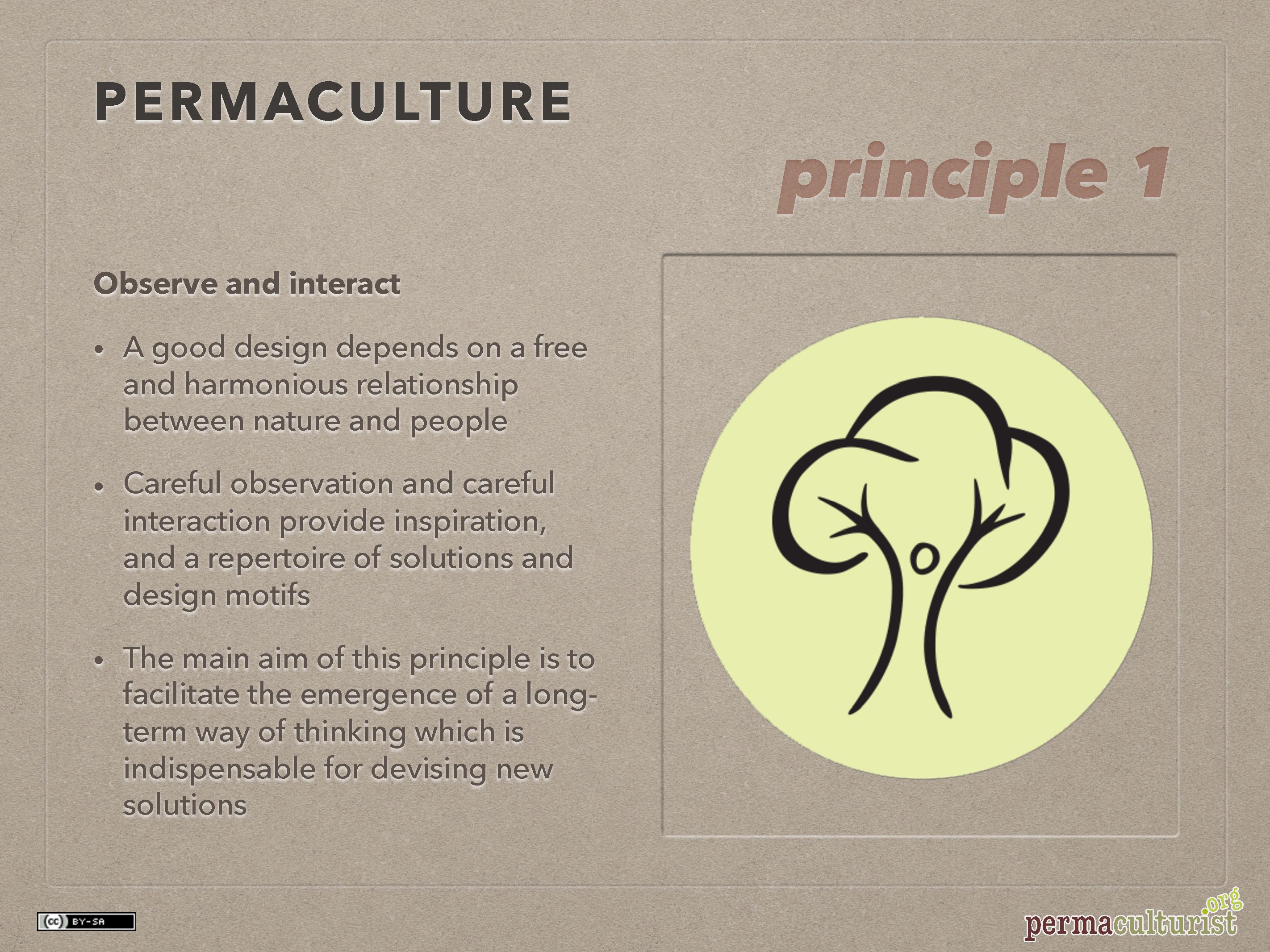 Introduction to permaculture | permaculturist.org