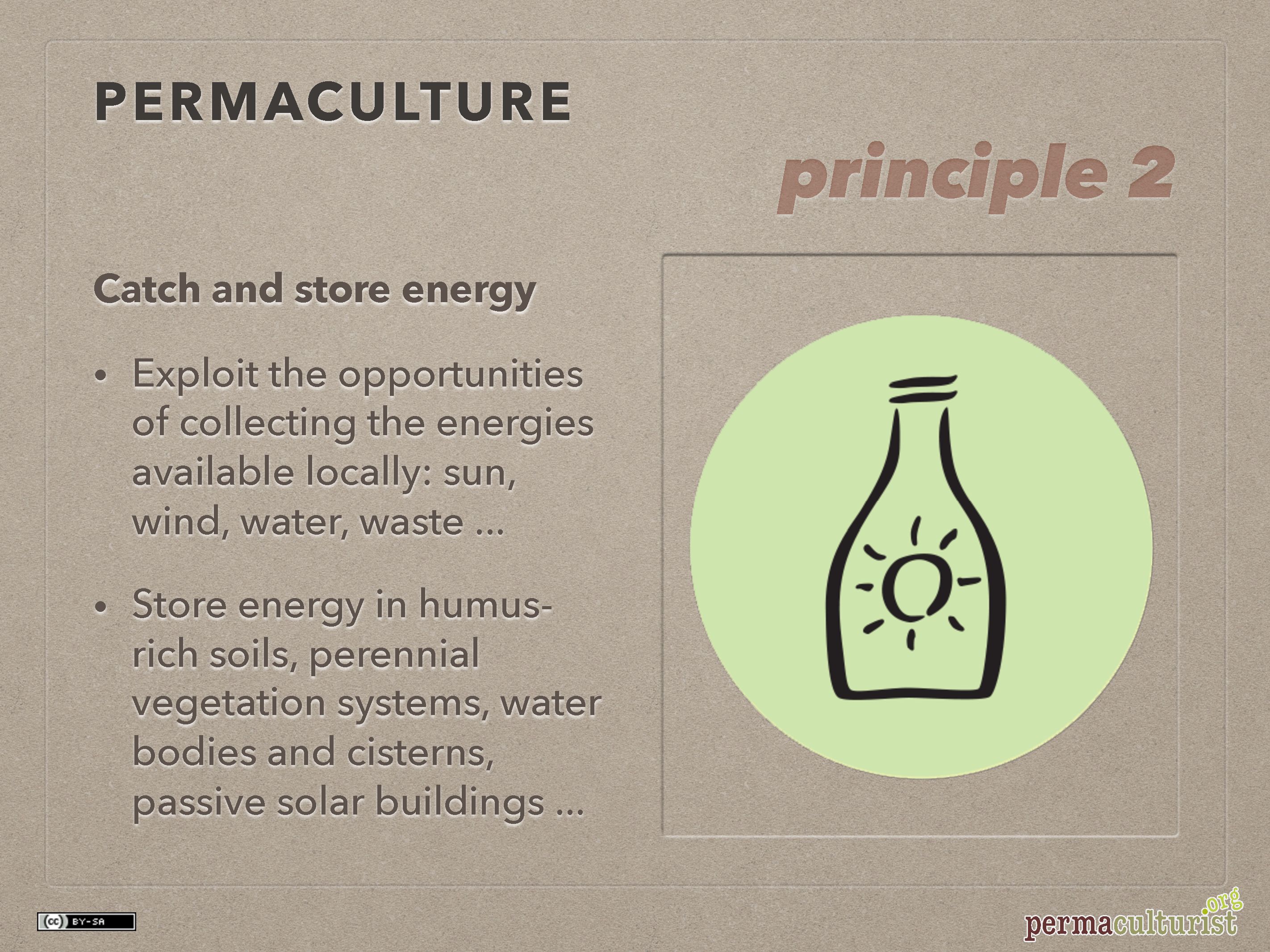 Introduction to permaculture | permaculturist.org
