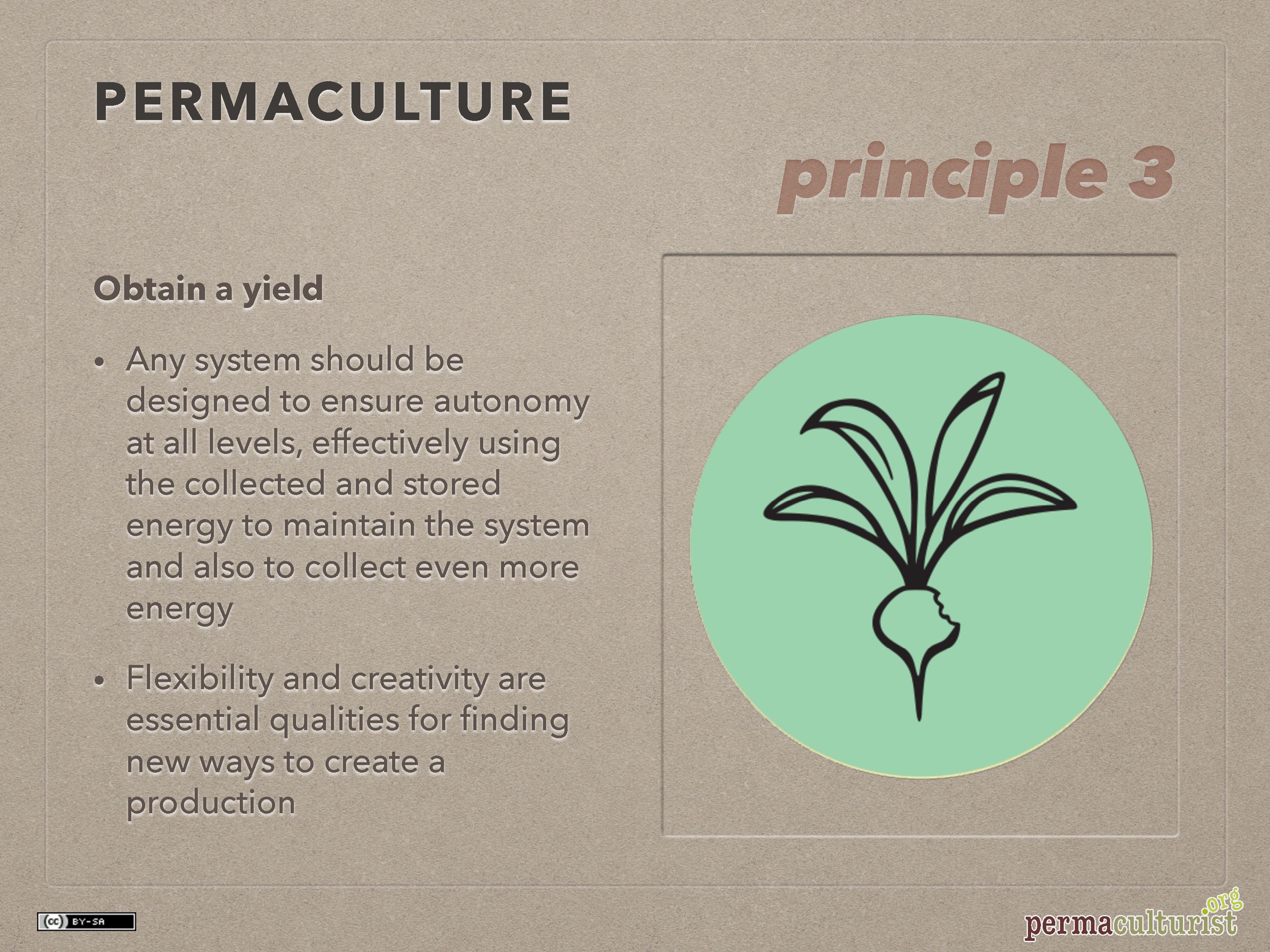 Introduction to permaculture | permaculturist.org