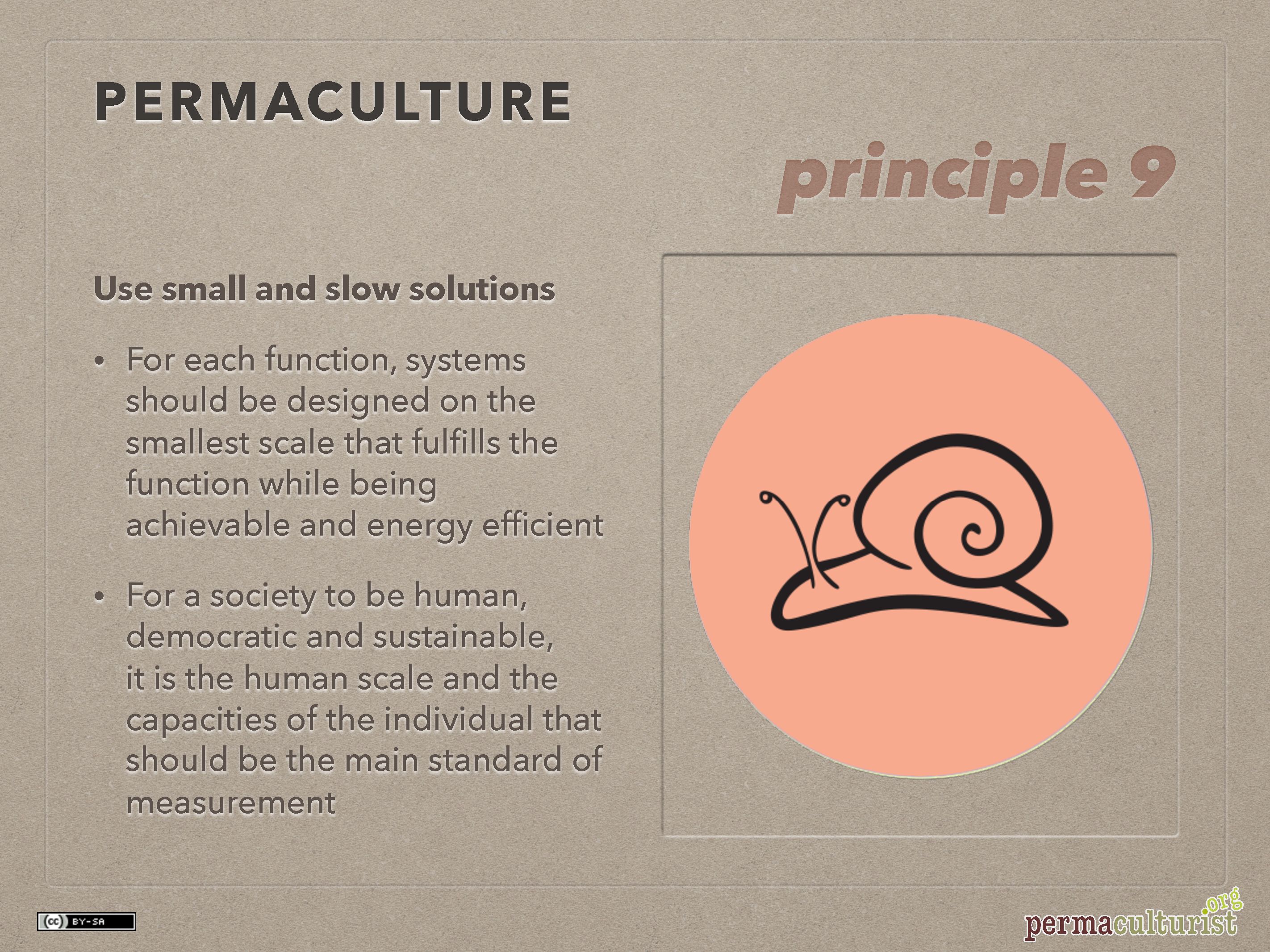 Introduction to permaculture | permaculturist.org